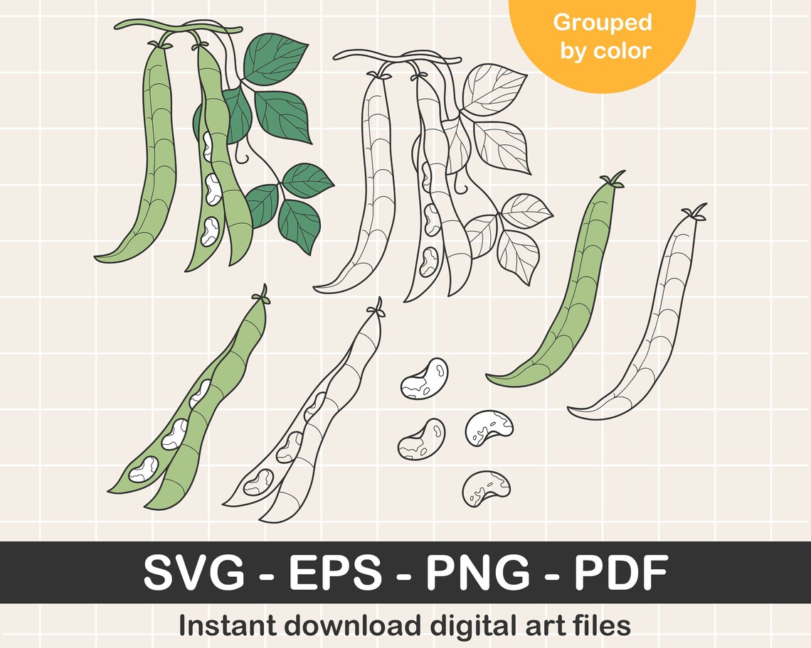 Beans Svg File. Instant Download Png, Pdf, Eps. Original Digital ...