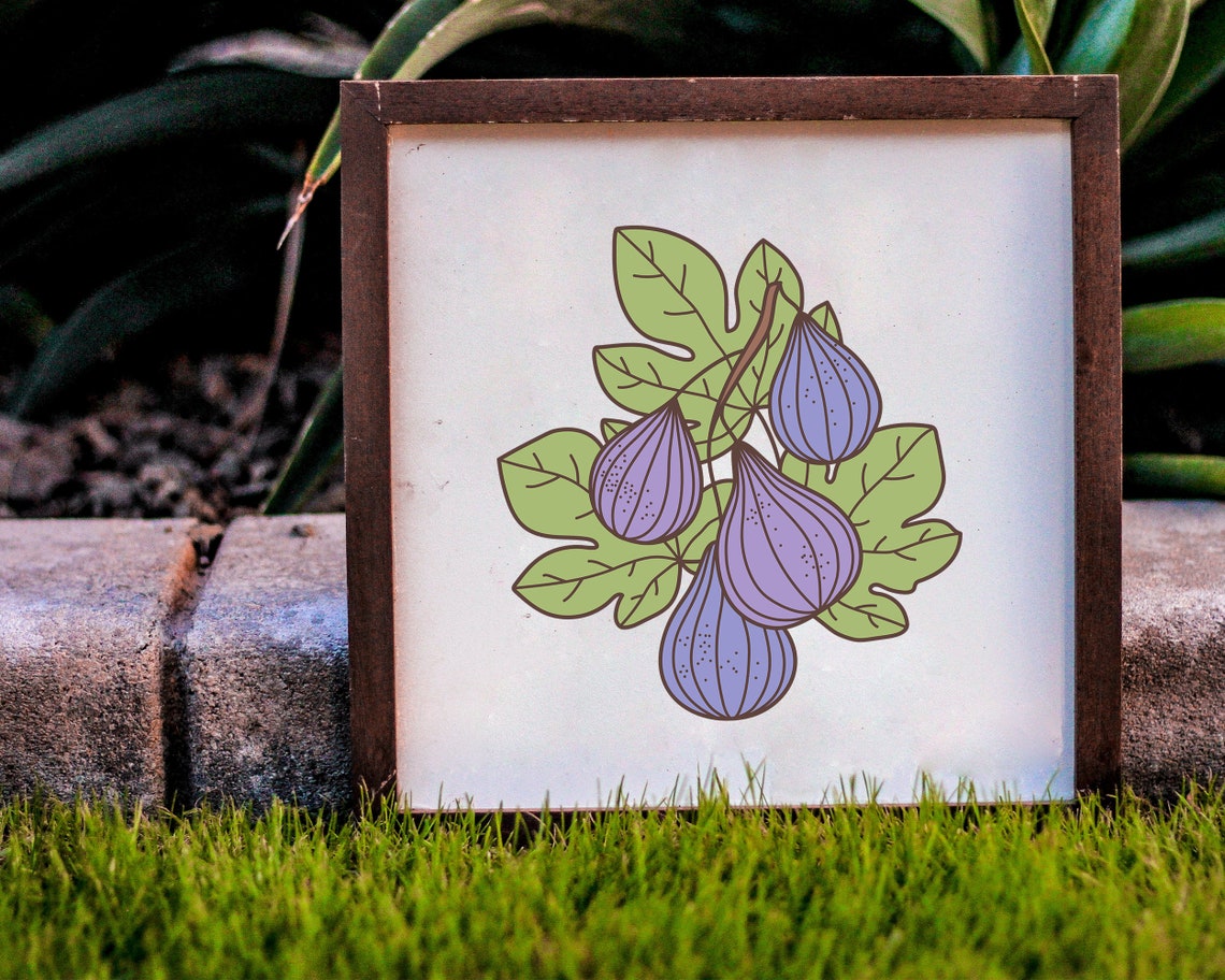Figs Instant Digital Download Clipart, Fig Branch Svg, Png, Pdf, and ...