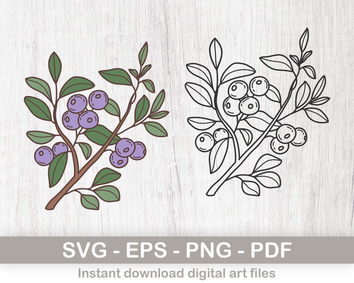 Blueberry Instant Digital Download Clipart. Blueberry Branch, Png, Pdf ...