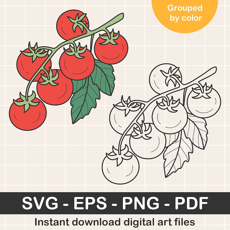 Tomato Hand Drawing - Etsy UK