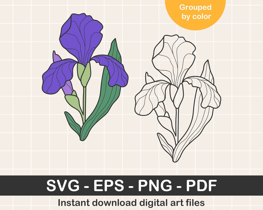 Iris Flower Svg File. Instant Download Png, Pdf, Eps. Original Digital ...
