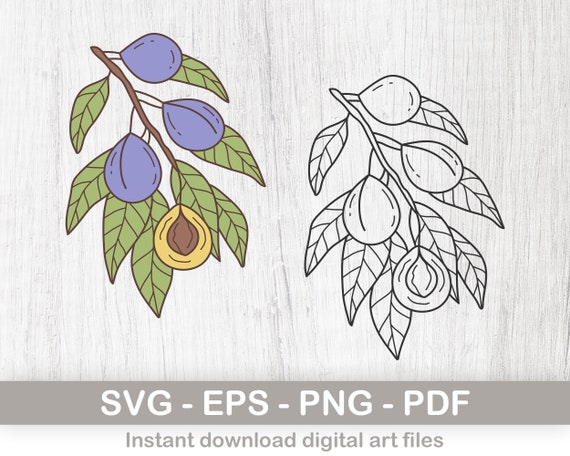 Plum Instant Digital Download Clipart Plums Svg Files Png - Etsy