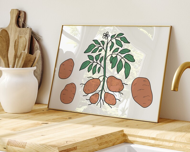 Potatoes Svg File. Instant Download Png, Pdf, Eps. Original Digital ...