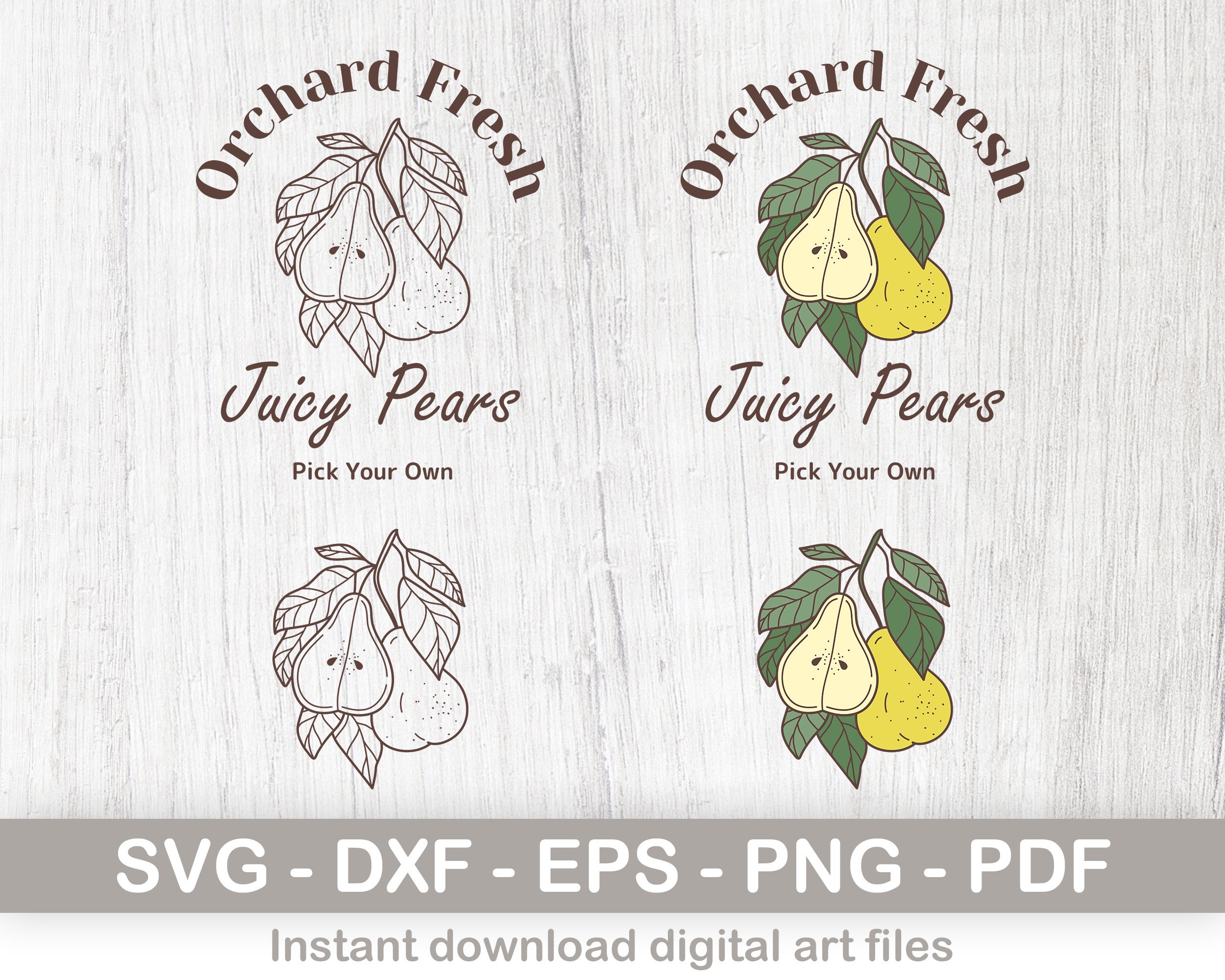 Orchard Fresh Pears SVG File, Pears SVG, Pick Your Own Pears, Kitchen ...