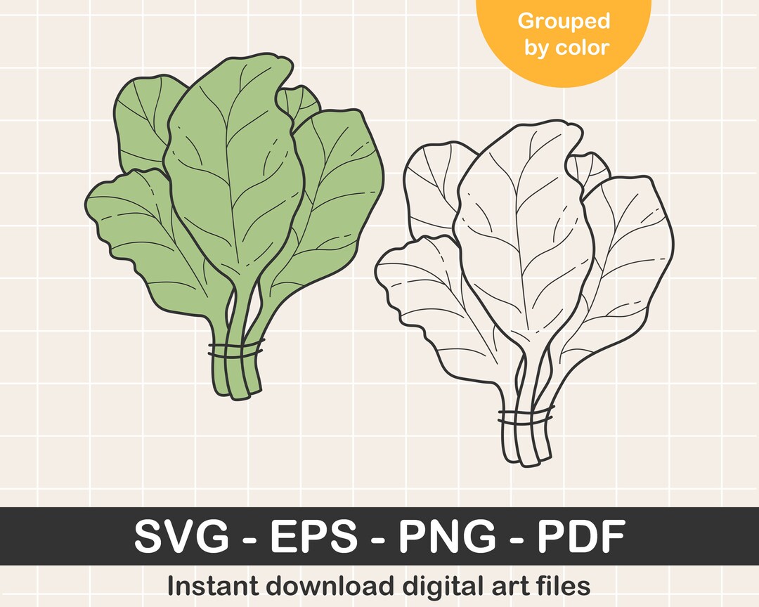 Spinach Svg File. Instant Download Png, Pdf, Eps. Original Digital ...