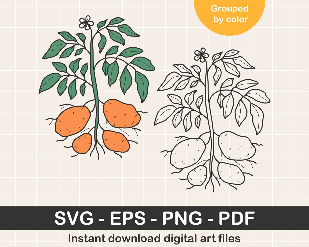 Potato Svg File. Instant Download Png, Pdf, Eps. Original Digital ...