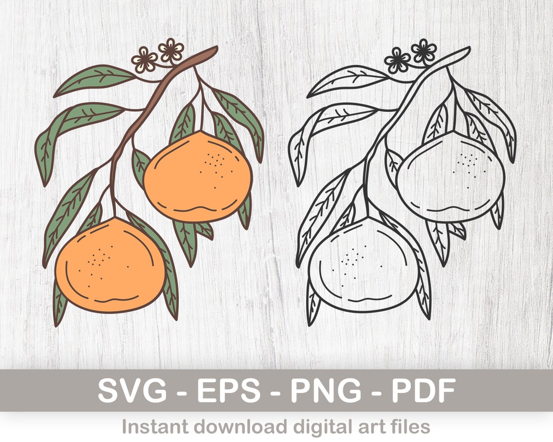 Mandarins Instant Digital Download Clipart, Tangerines Svg Files, Png ...