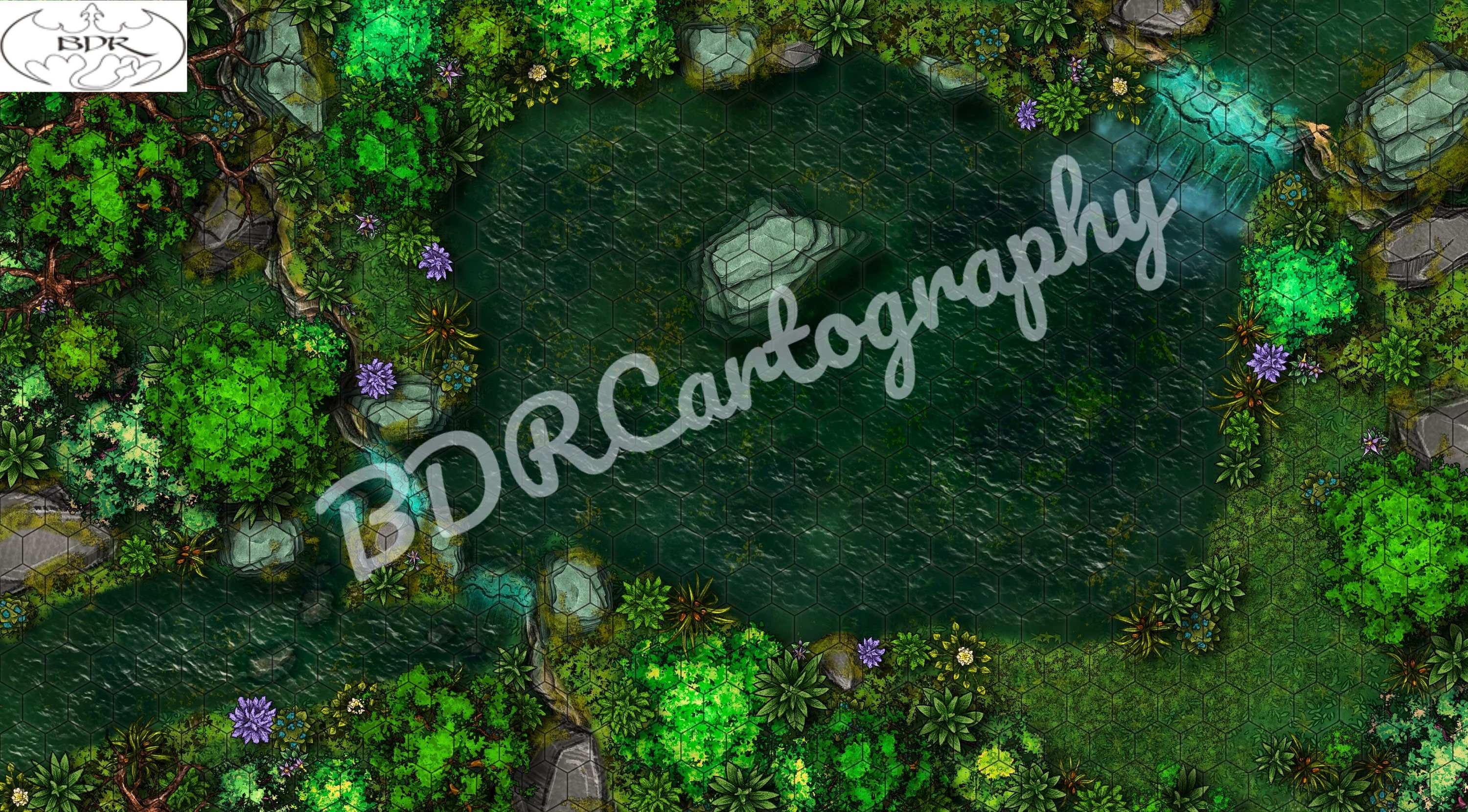 Woodland Pool Dnd Digital Battlemap - Etsy Australia