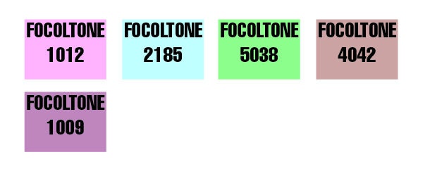 Essential Homeopathic Remedy Labels for Accidents, Injuries and Bruises ...