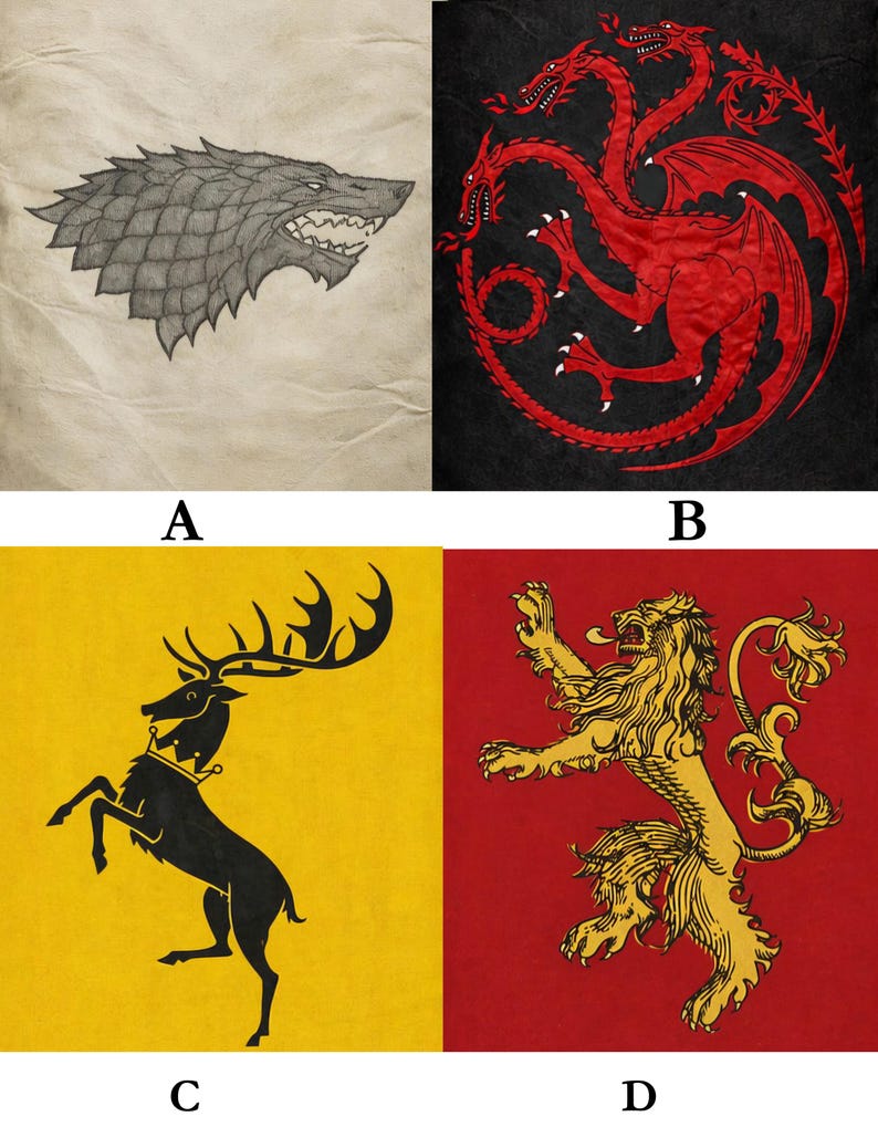 Fantasy Shelf Banner for Bookshelves | Medieval Sigil Decor | Double ...