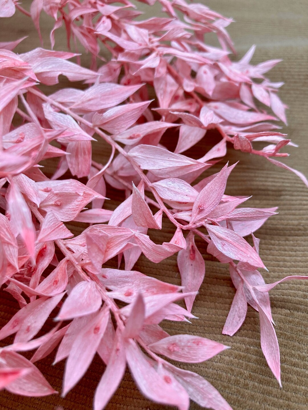 Ruscus Dried, Pink, Dried Flower Bouquet, Home Decor, Wedding ...