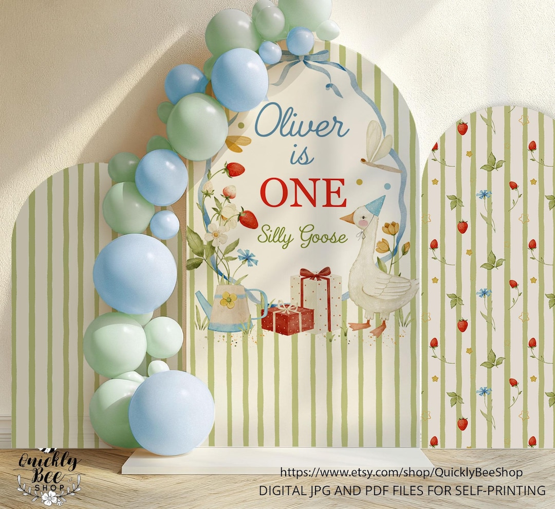 One Silly Goose Birthday Backdrop, Silly Goose Birthday Arch Decor ...