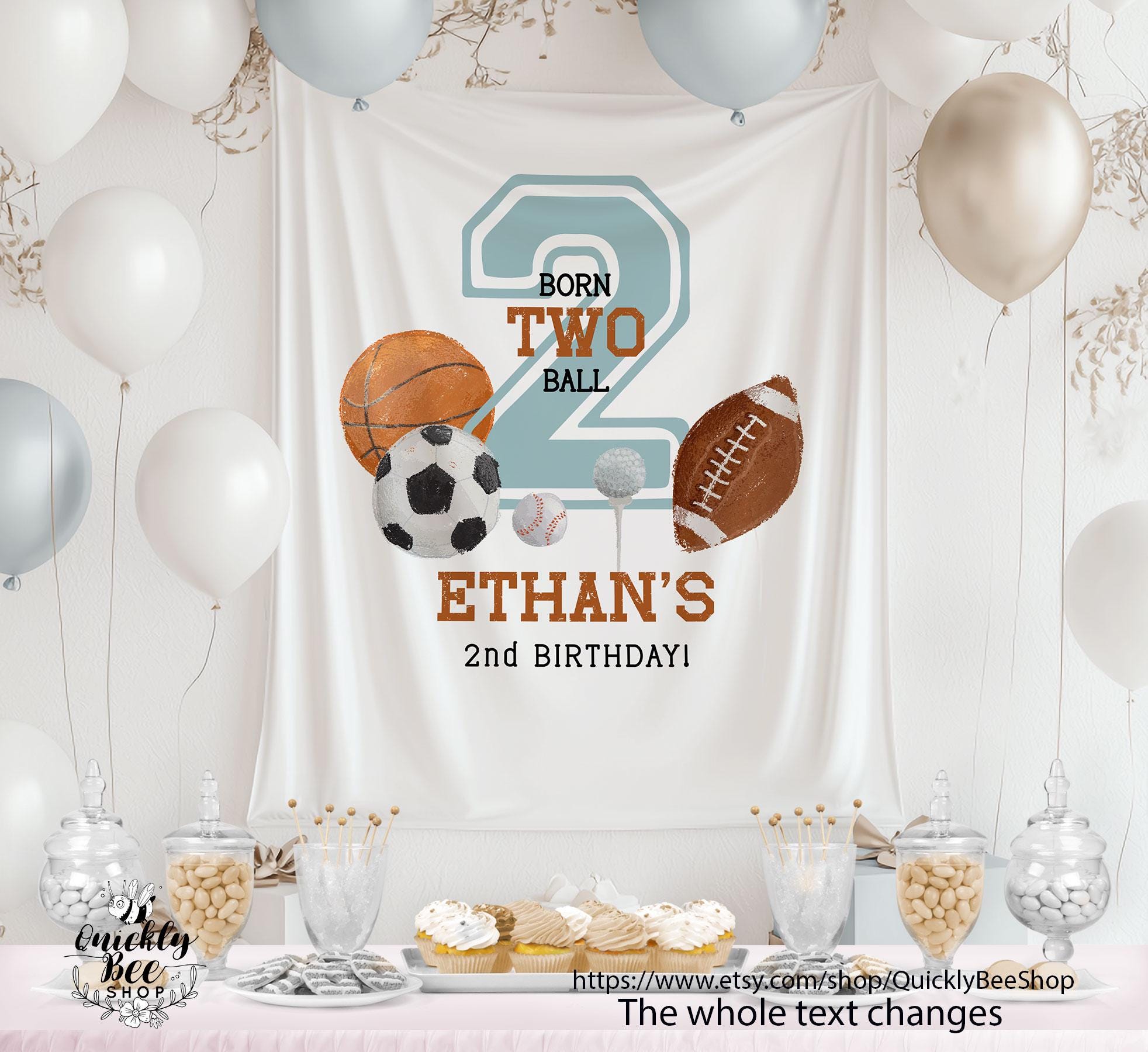 Born 2 Ball Backdrop for Boy, 2nd Birthday Banner, Let's Have a Ball ...