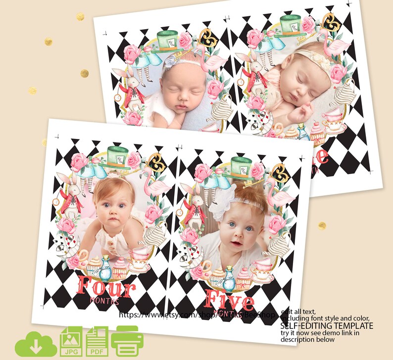 Alice in Wonderland First Birthday Banner Monthly Photo Banner - Etsy
