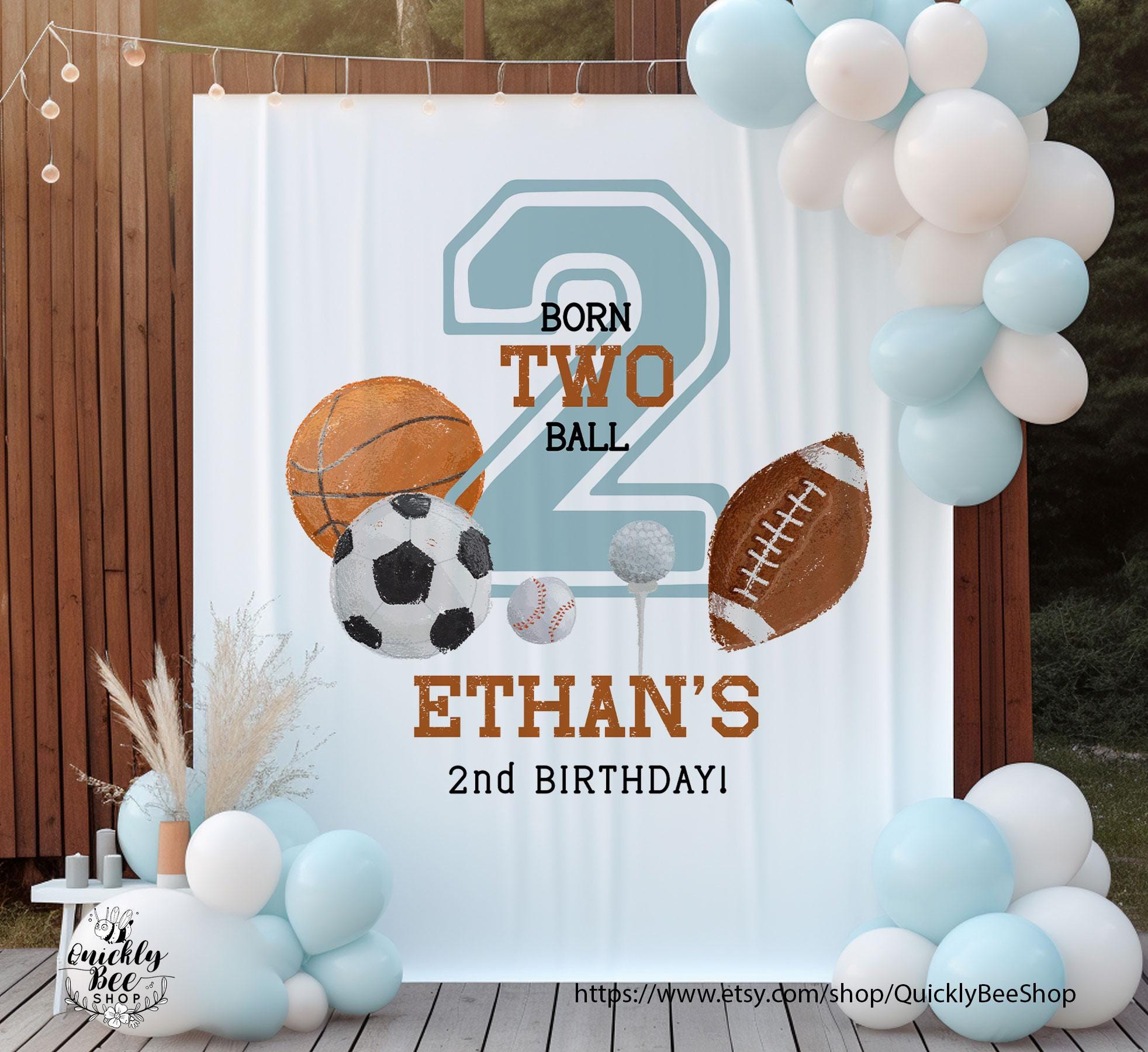 Born 2 Ball Backdrop for Boy, 2nd Birthday Banner, Let's Have a Ball ...