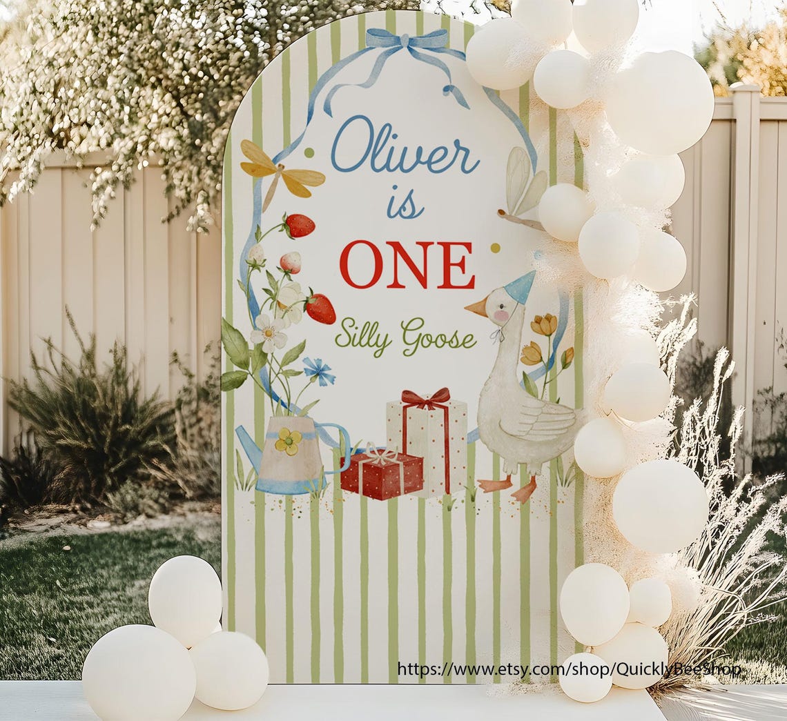 Silly Goose Birthday Backdrop, One Silly Goose Birthday Arch Decor ...