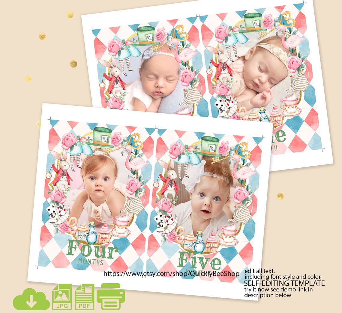 Alice in Wonderland First Birthday Banner Monthly Photo Banner - Etsy