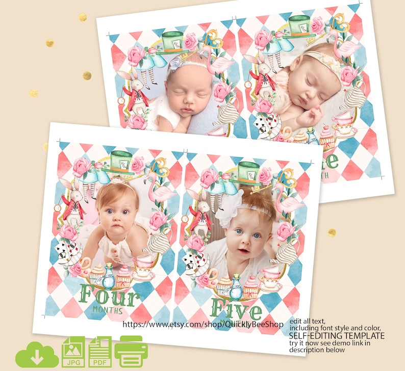 Alice in Wonderland First Birthday Banner Monthly Photo Banner - Etsy