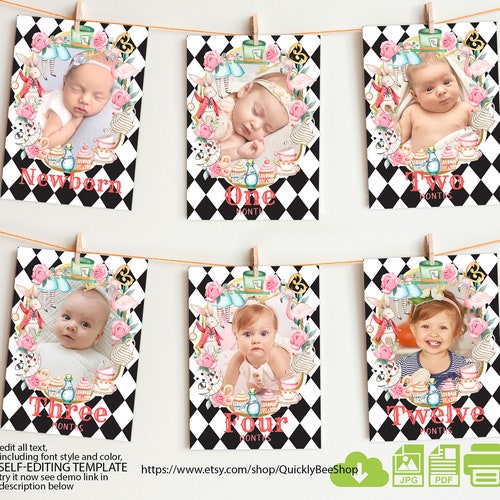 Alice in Wonderland First Birthday Banner Monthly Photo Banner - Etsy