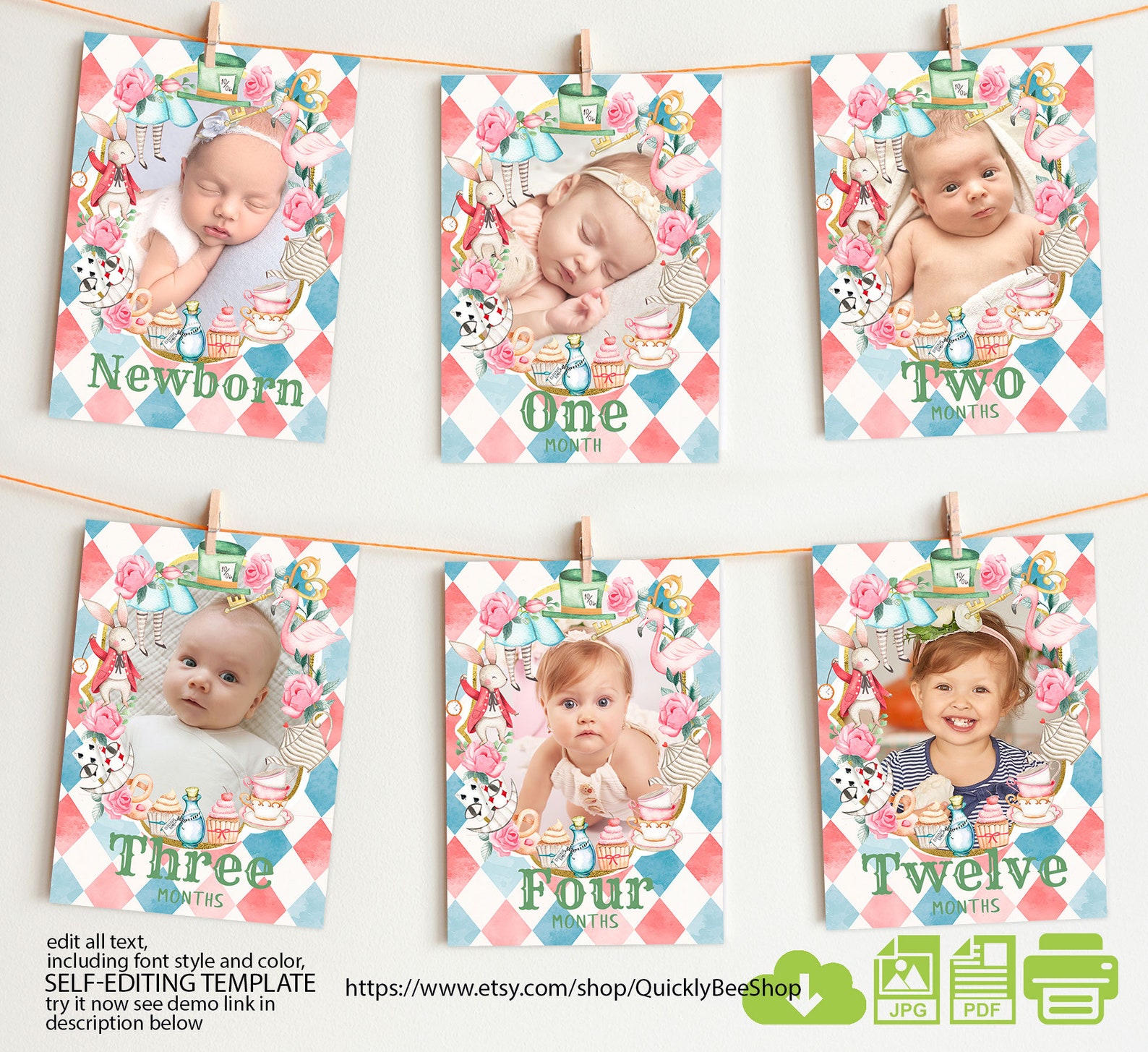 Alice in Wonderland First Birthday Banner Monthly Photo Banner - Etsy