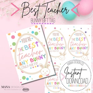 Teachers Appreciation Tag Teacher Gift Bunny Printable Tags Easter Gift ...