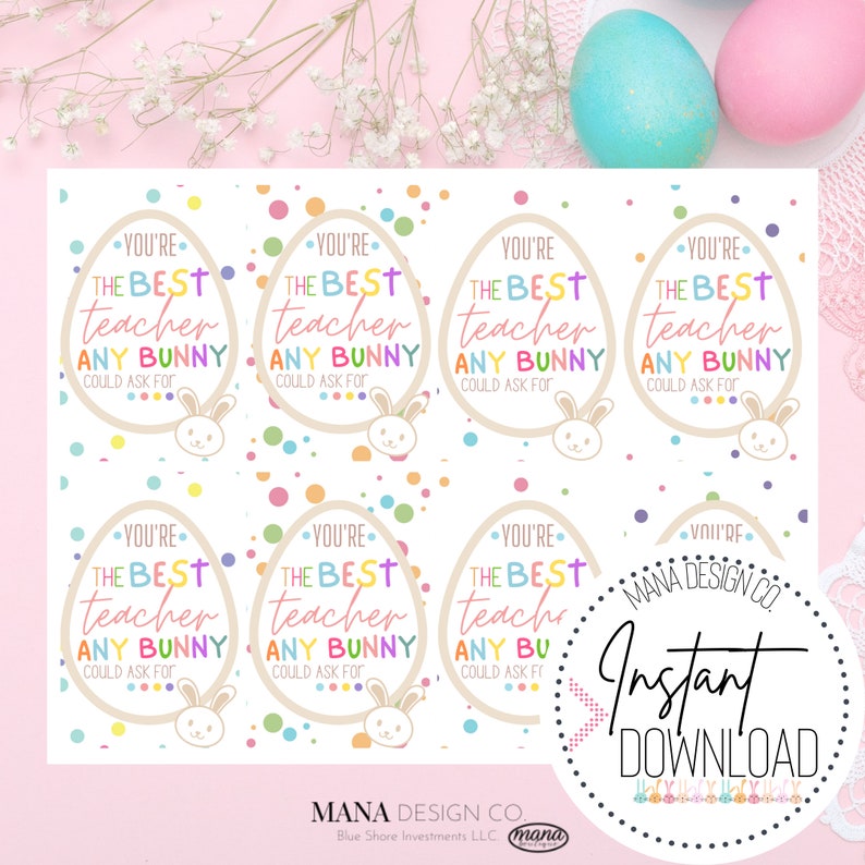 Teachers Appreciation Tag Teacher Gift Bunny Printable Tags Easter Gift ...