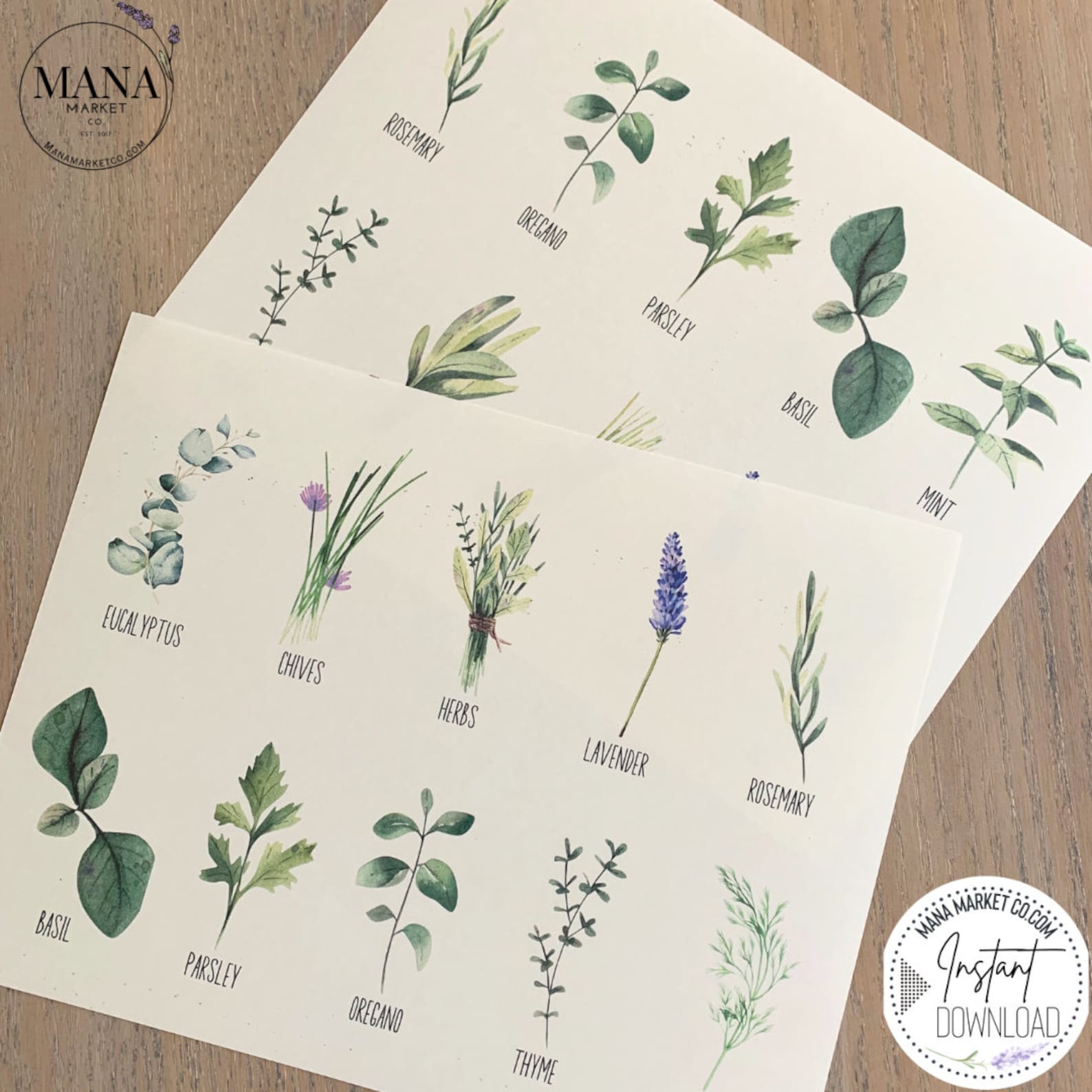 Printable Herb Labels , Set of Rustic Plant Seed Tags and Label ...