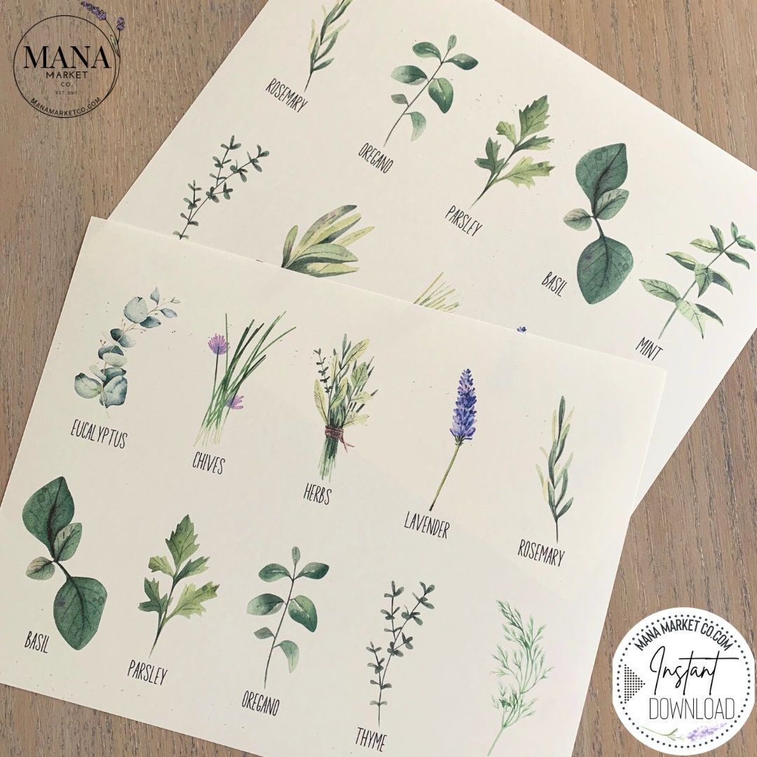 Printable Herb Labels , Set of Rustic Plant Seed Tags and Label ...