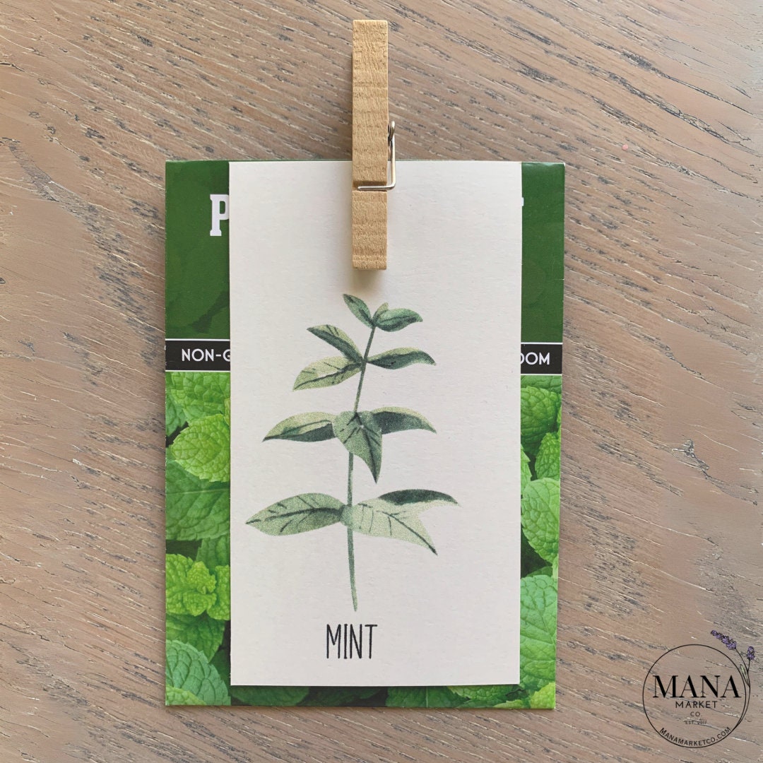 Printable Herb Labels , Set of Rustic Plant Seed Tags and Label ...