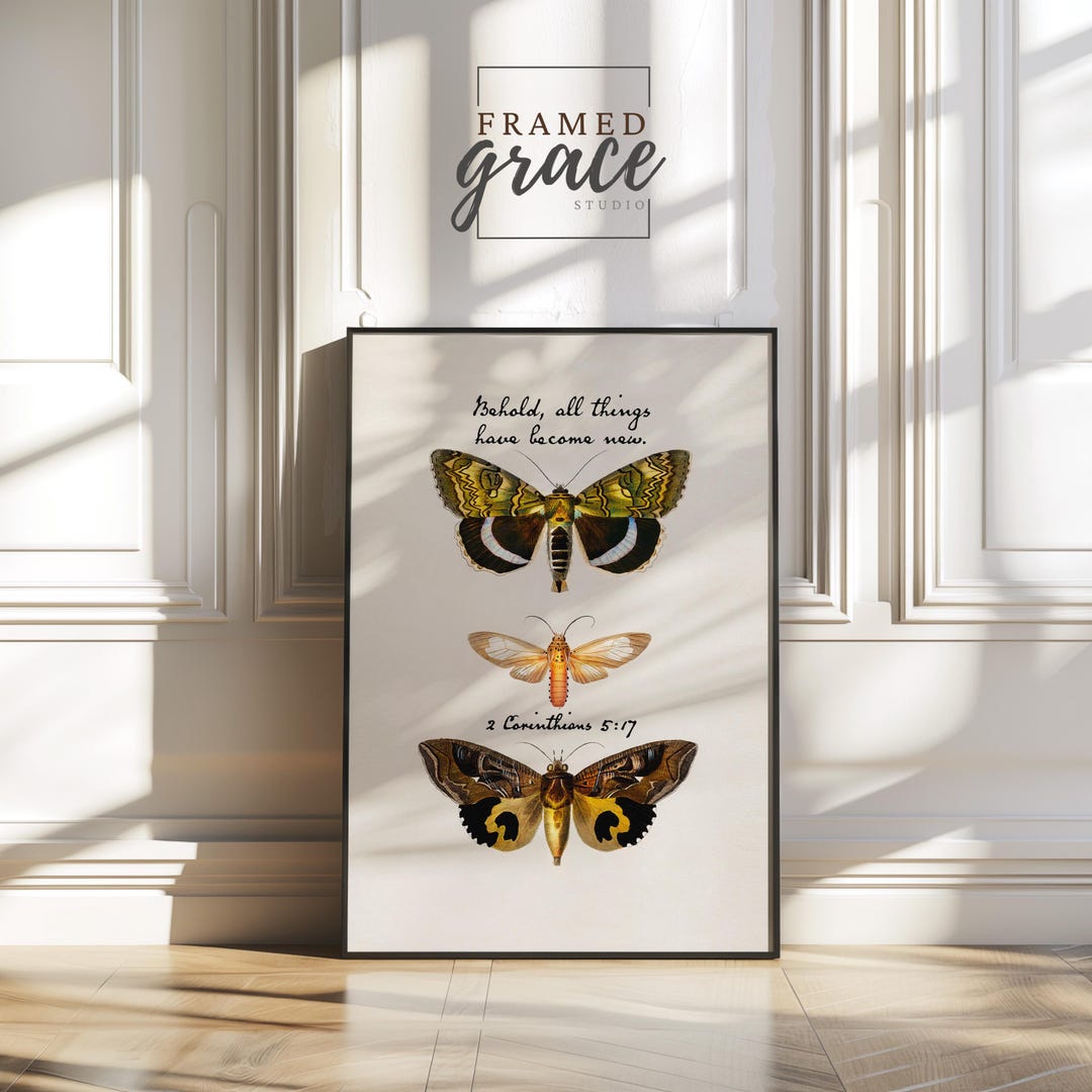 Vintage Moths Wall Art, 2 Corinthians 5:17, Yellow Butterflies ...