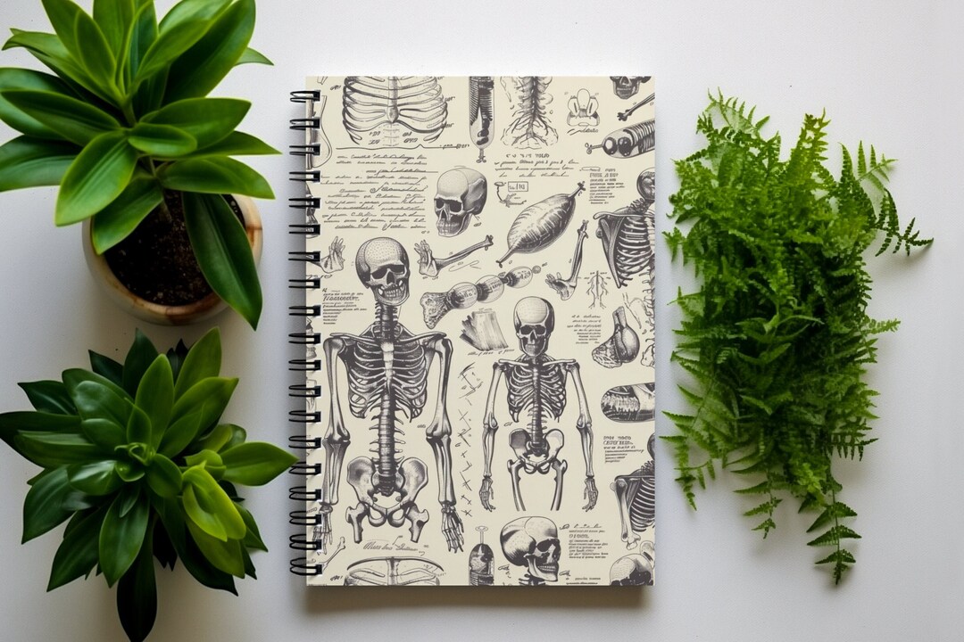 Human Anatomy Vintage Skeleton Notebook , Perfect Gift for Journal ...