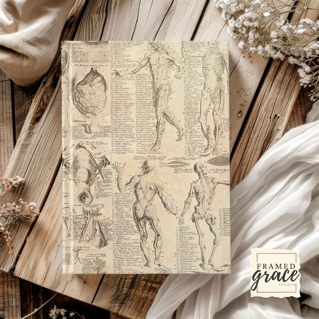 Human Anatomical Chart, Hardcover Journal Matte, Medical Student ...