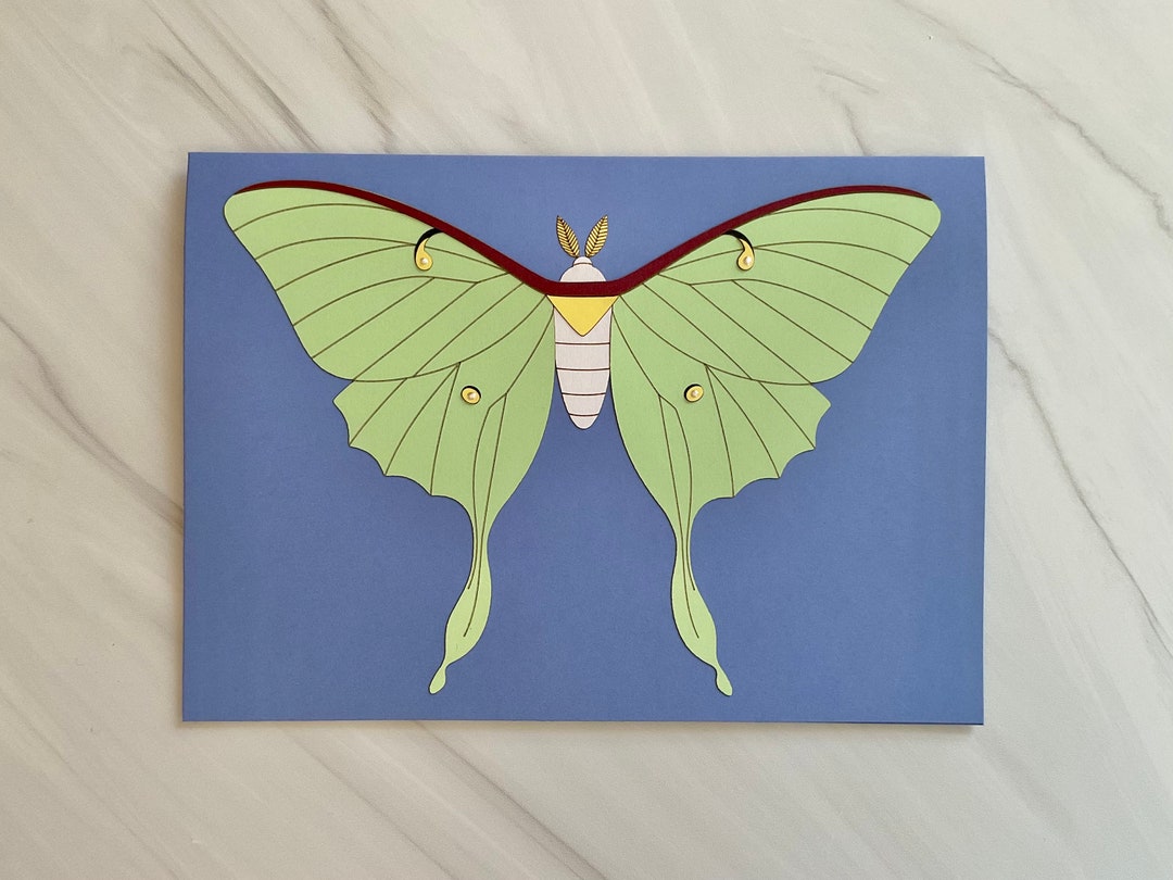 Luna Moth Layered Paper Card - Etsy