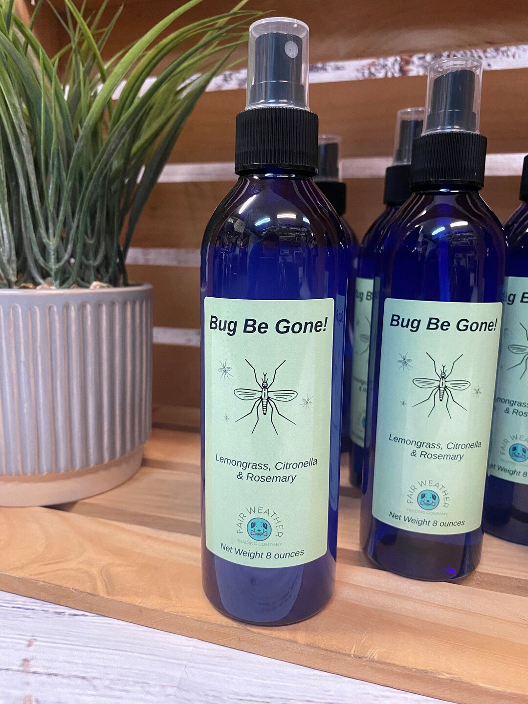 Bug Be Gone! Insect Repellent Spray - Etsy