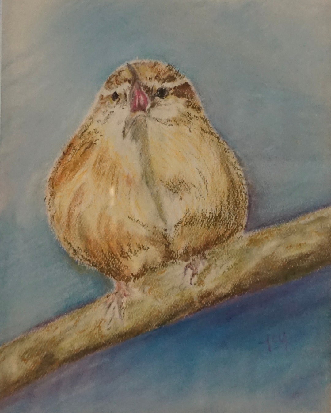 Melody Maker ~ Carolina Wren - Etsy