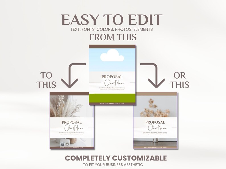 Client Proposal Template Virtual Assistant Upwork Proposal Template Onboarding Plan Small