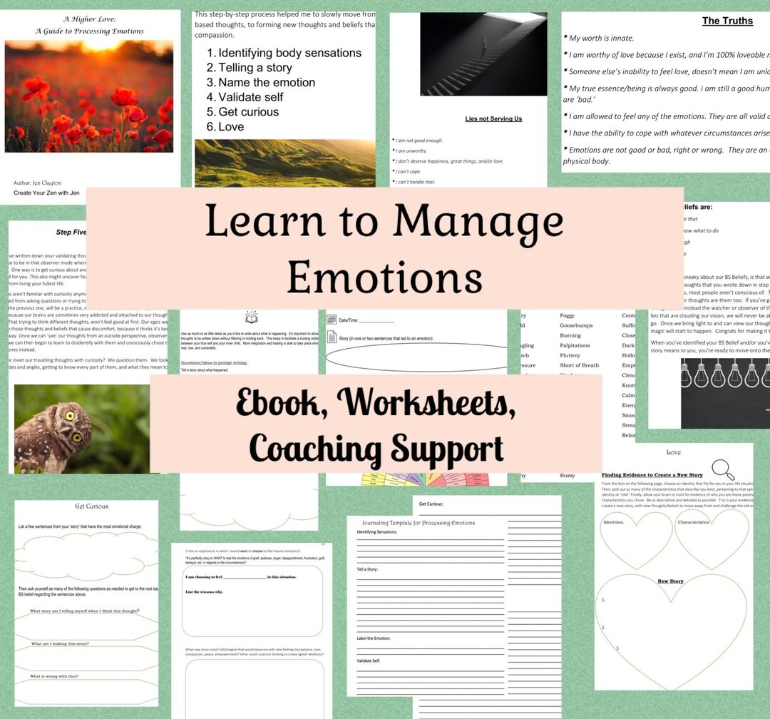 Emotional Regulation Tool,stress Management Workbook,self Care ...