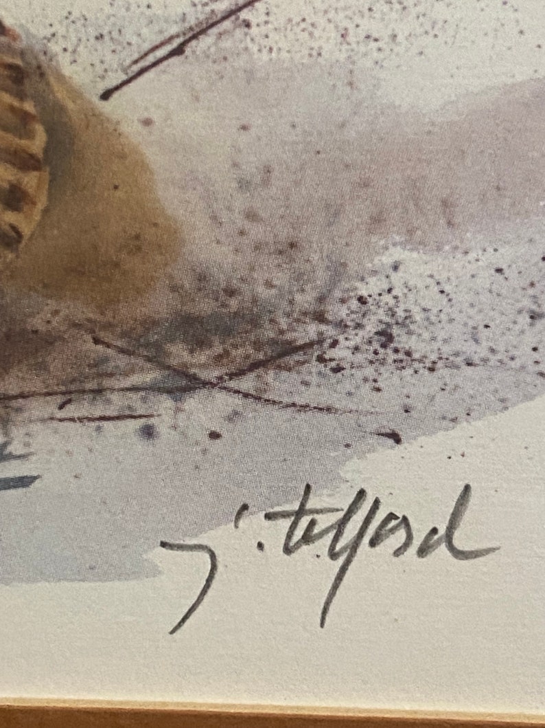 Vintage J. Royal Telford 1974 Signed Artist Print of Sea Shells Wall ...