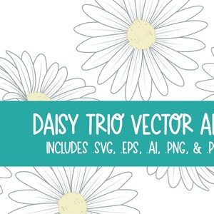 Daisy Trio Vector Art .SVG .AI .PNG - Etsy