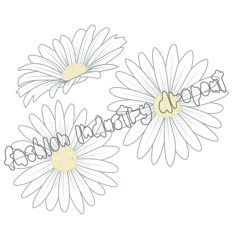 Daisy Trio Vector Art .SVG .AI .PNG - Etsy