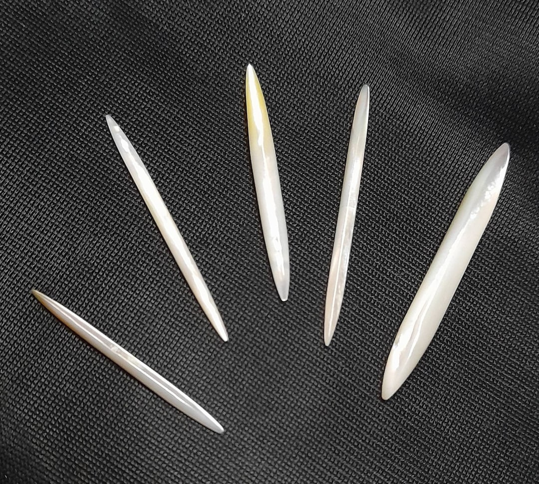 Septum Tusk Mother of Pearl Handmade Polished Item Custom Available ...