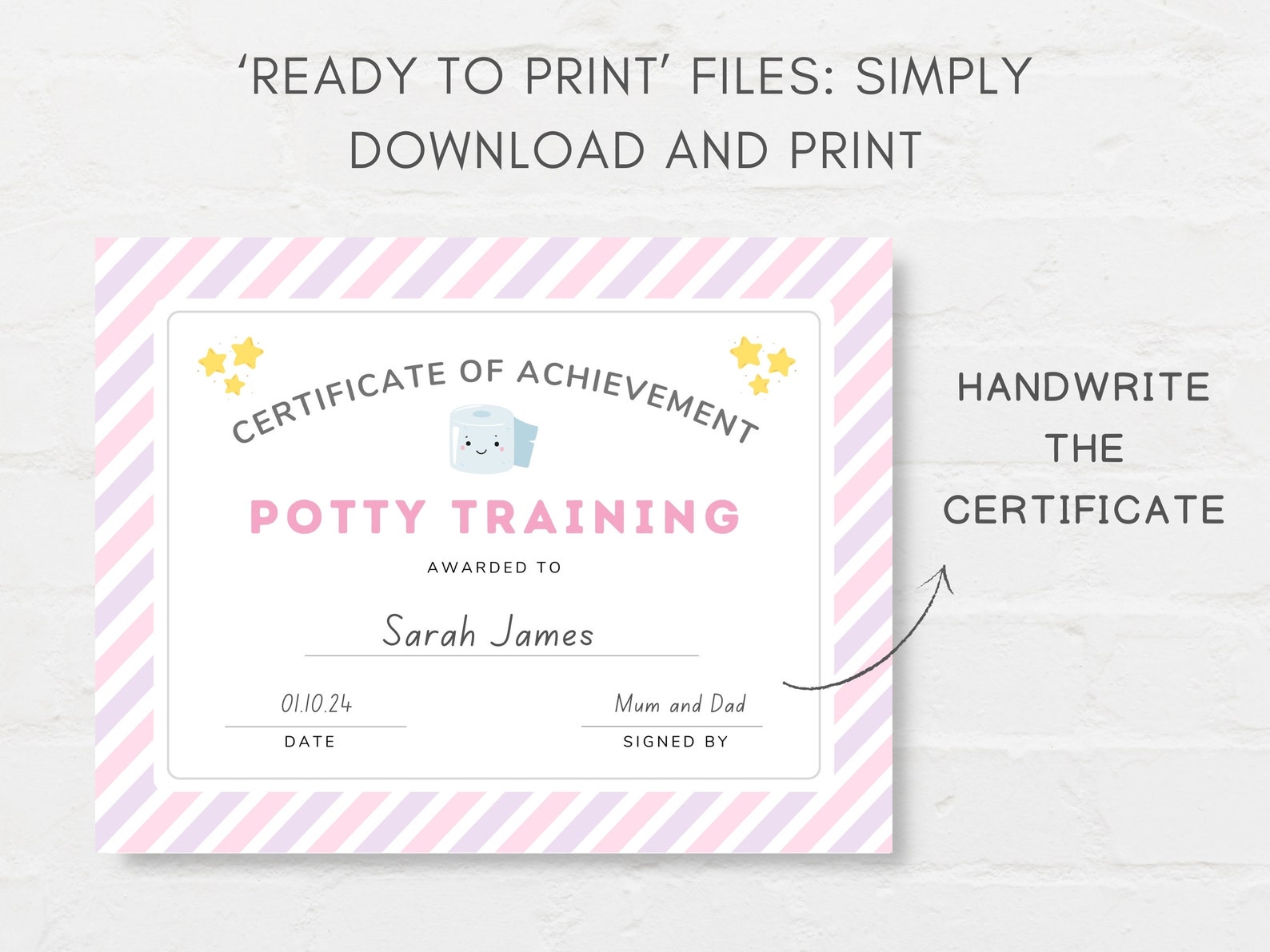 Potty Certificate Printable, Editable Potty Certificate, Potty Training ...