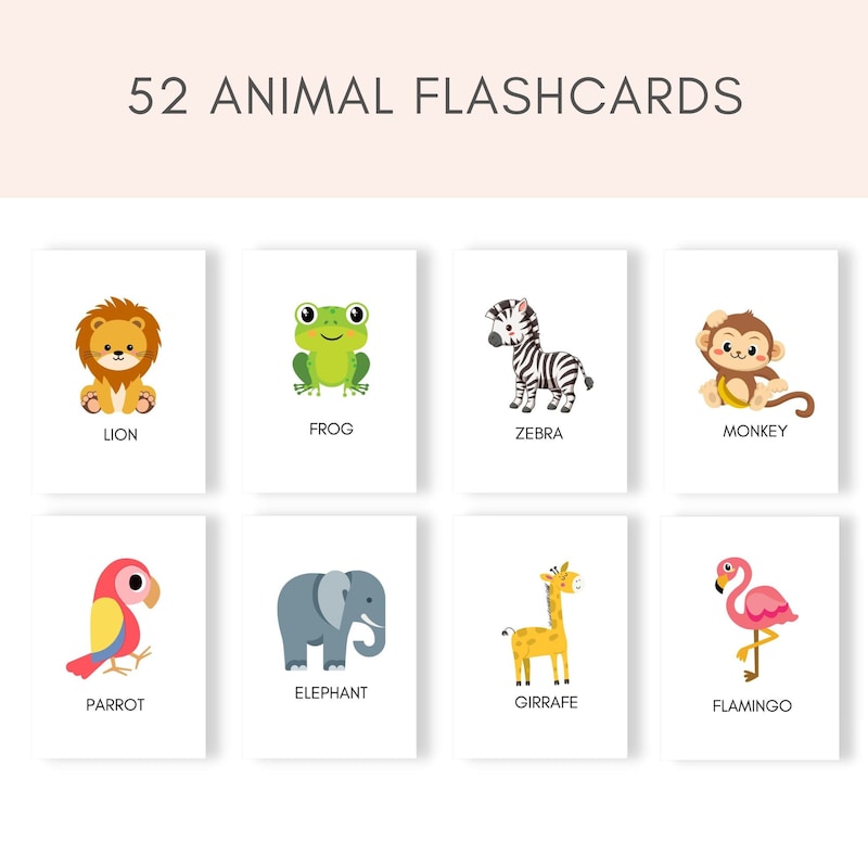 Animal Flash Cards - Etsy