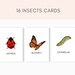 Insects Flashcards Bugs Flashcards Minibeast Flashcards - Etsy