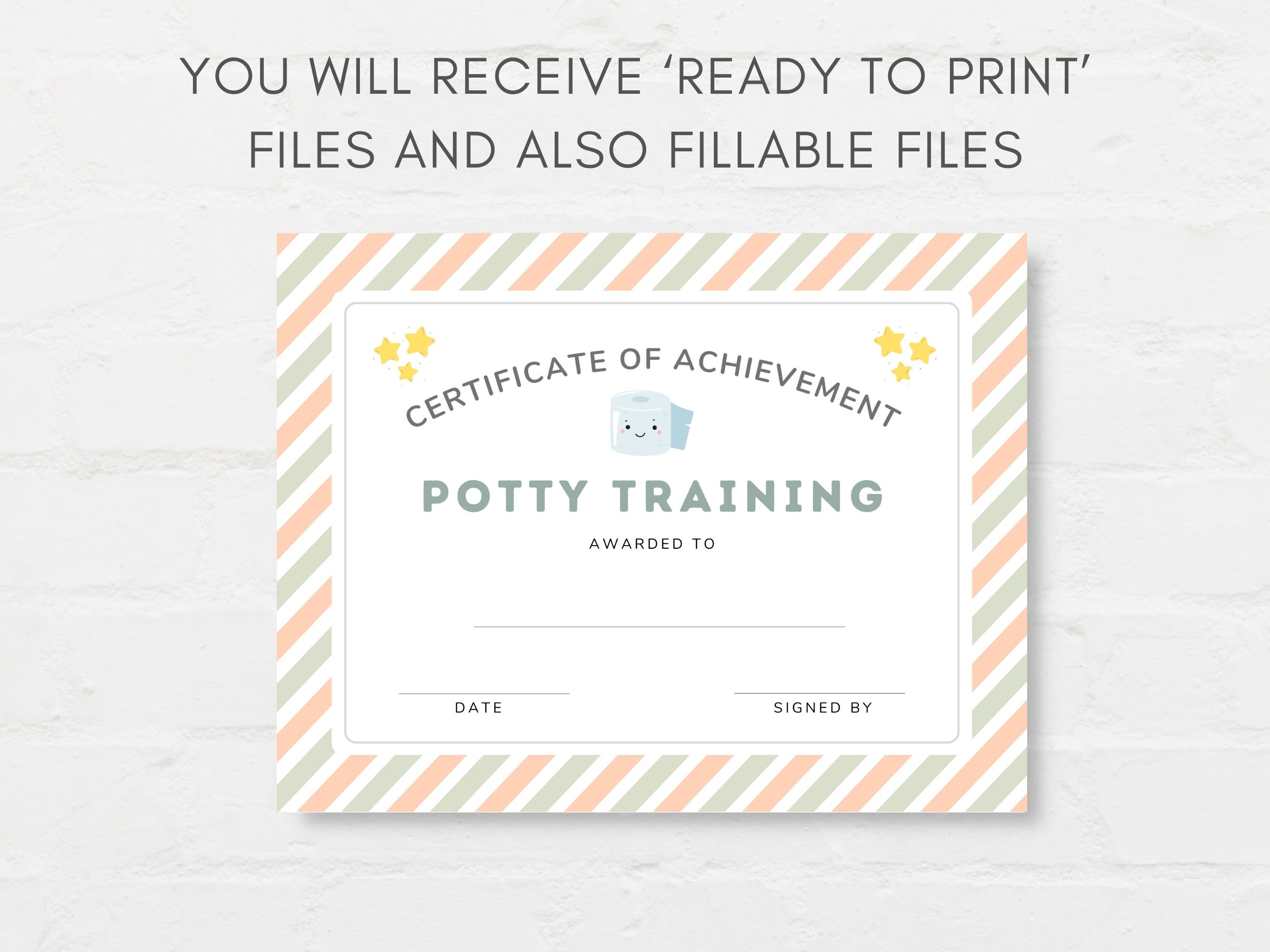 Potty Certificate Printable, Editable Potty Certificate, Potty Training ...