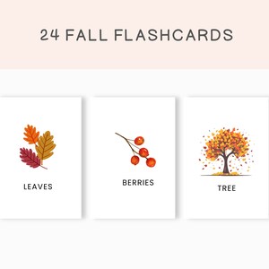 Fall Flashcards Printable, Autumn Flashcards, Nature Cards, Fall ...
