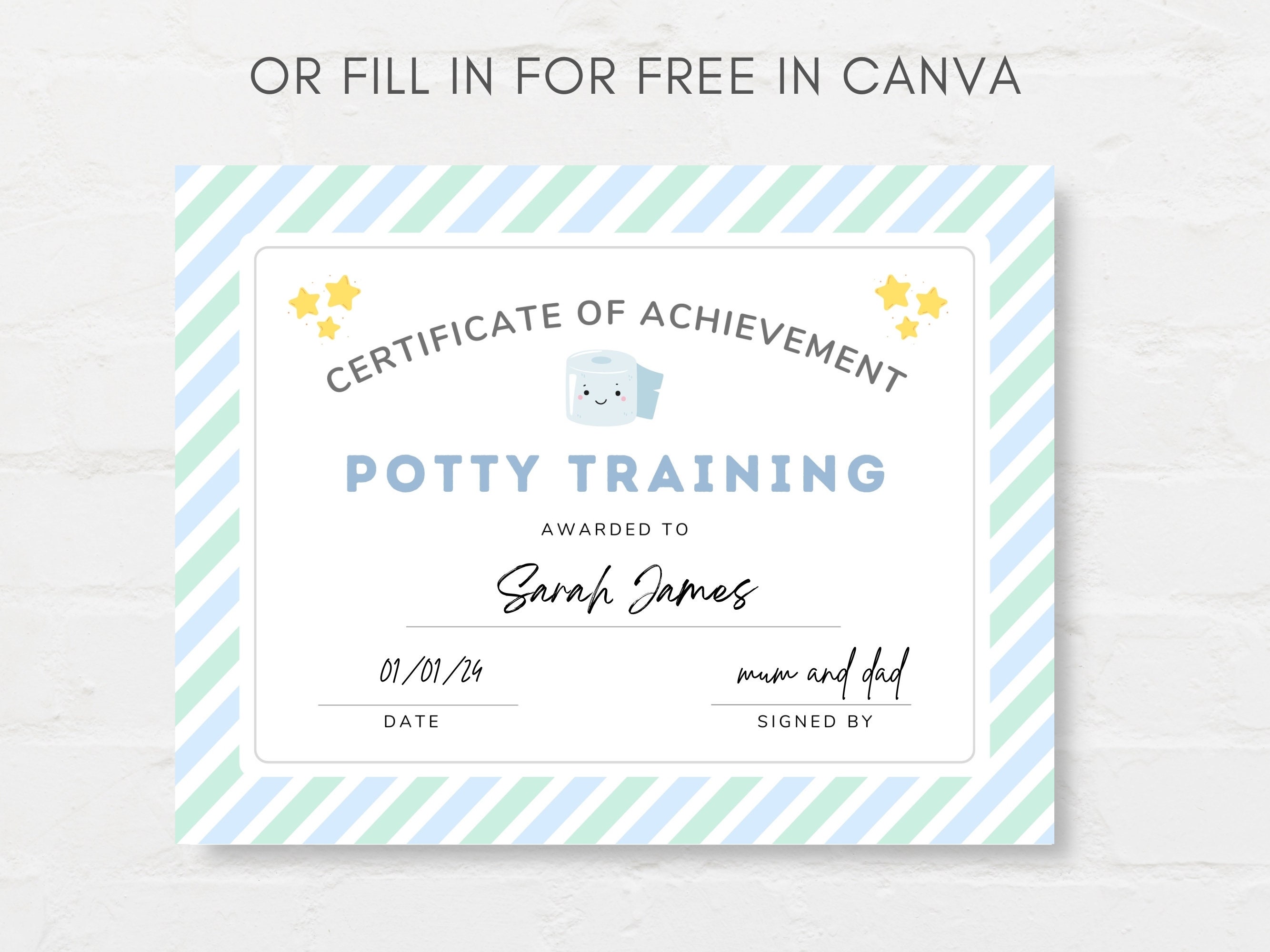 Potty Certificate Printable, Editable Potty Certificate, Potty Training ...