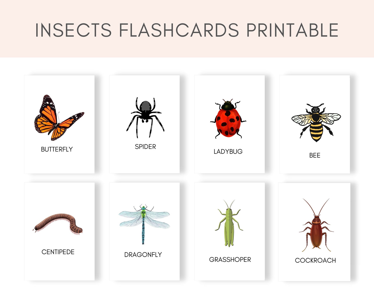 Insects Flashcards Bugs Flashcards Minibeast Flashcards - Etsy