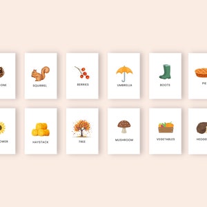 Fall Flashcards Printable, Autumn Flashcards, Nature Cards, Fall ...