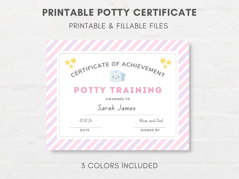 Potty Certificate Printable, Editable Potty Certificate, Potty Training ...